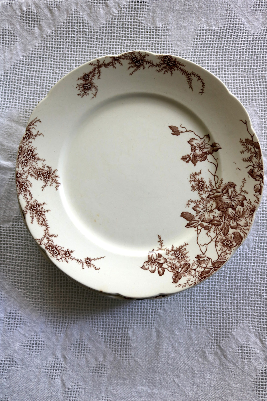 Foraged Home and Garden